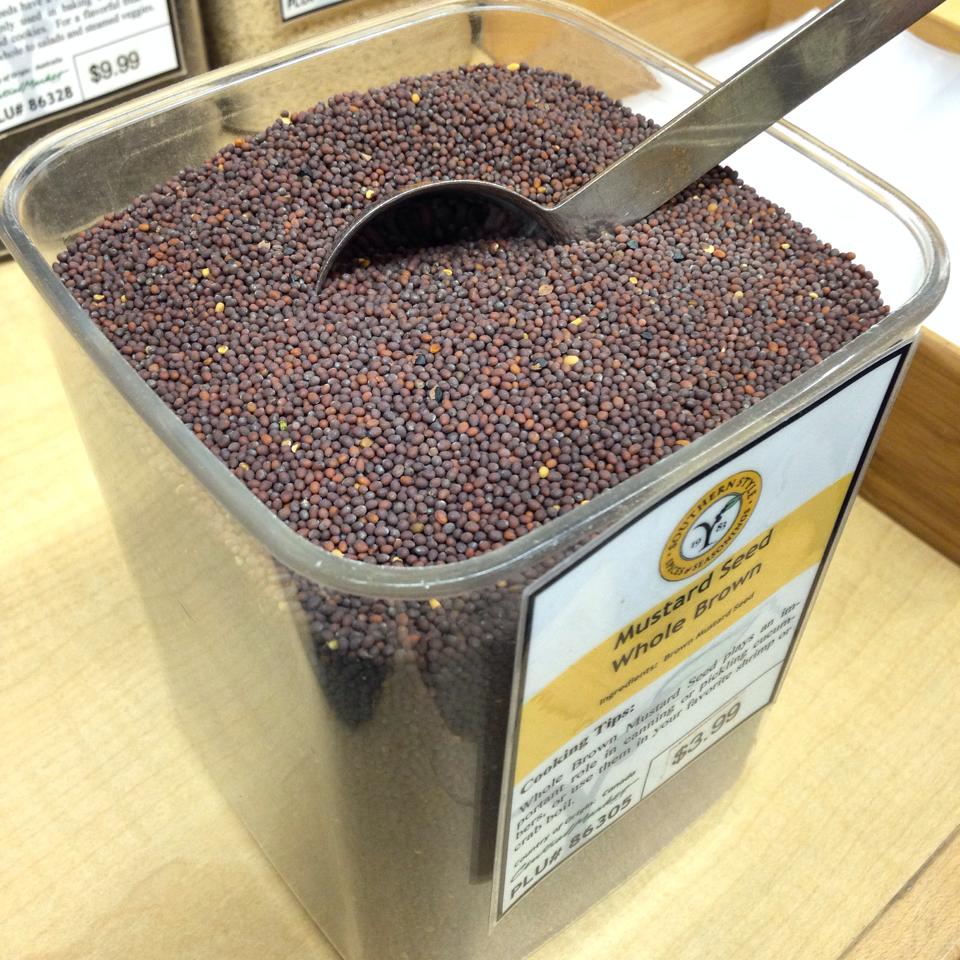 Lacto-fermented Whole Grain Mustard | Planted and Enchanted